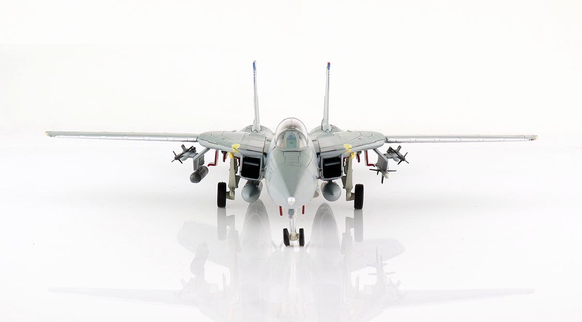 F-14B Tomcat VF-143 Pukin Dogs, 2002 - Pilot's station airfield